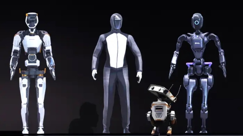 Humanoid Robot Overview | Birow
